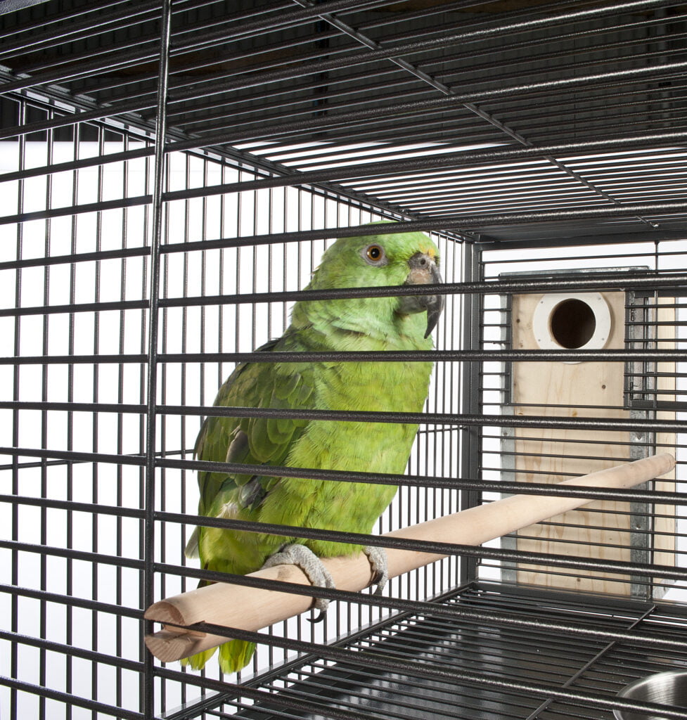 Parrot Grand Triple Bird Cage Breeding Cage 2015 - Everyday Pet Cages