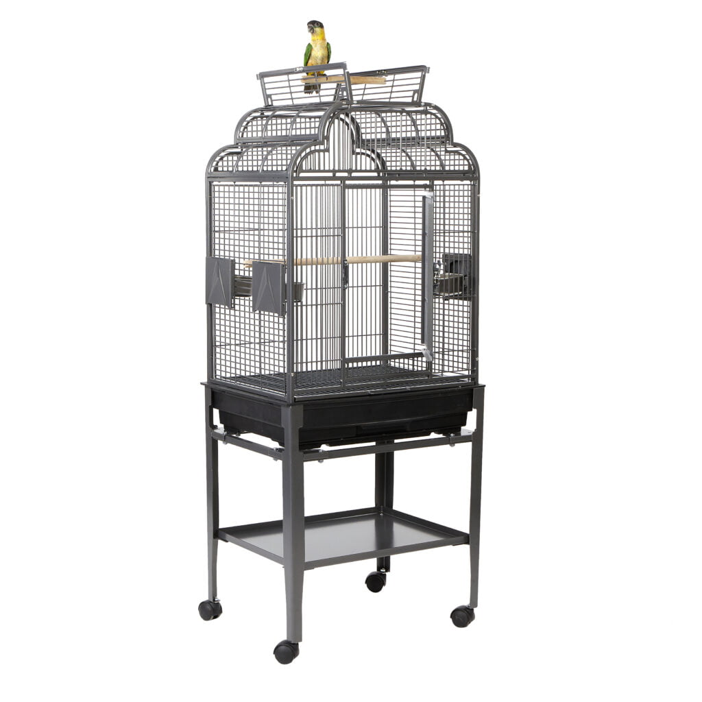 Cages for small Medium Birds Archives - Everyday Pet Cages
