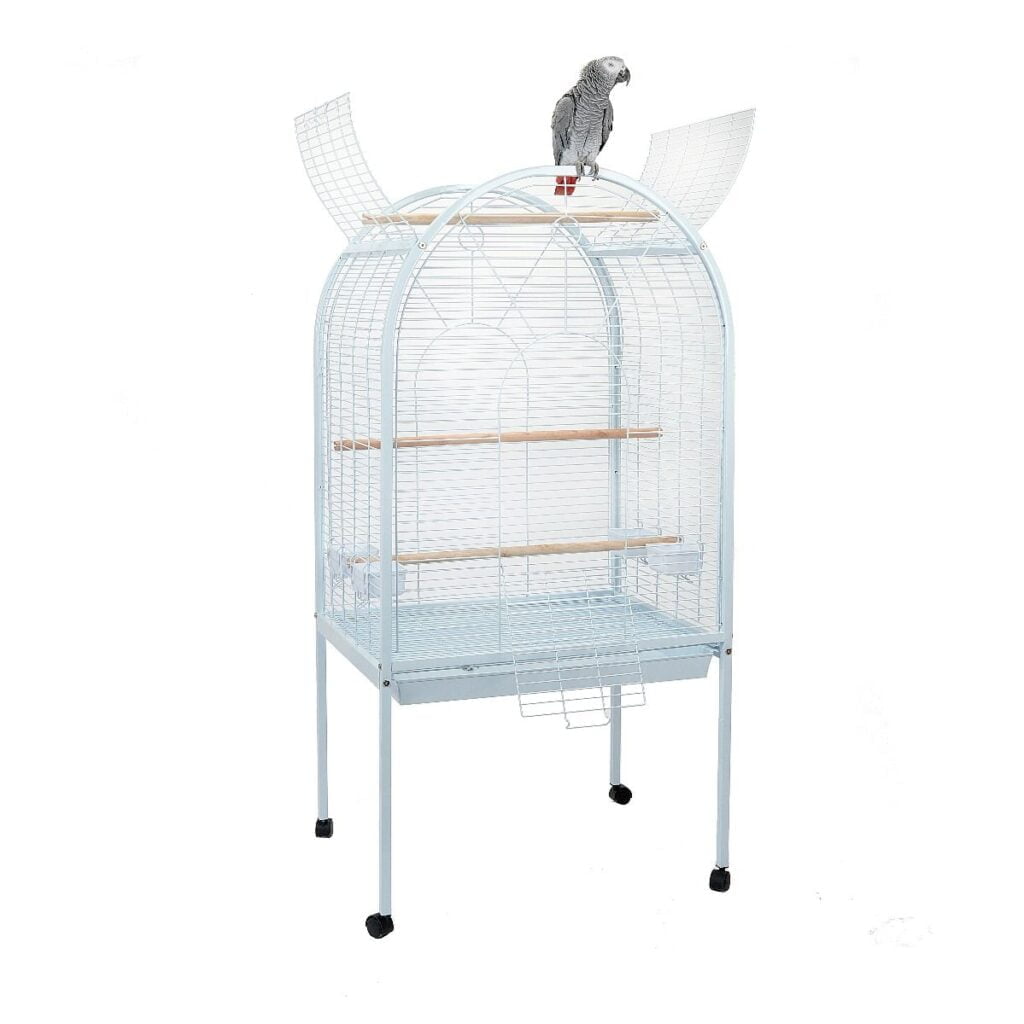 Parrot Cages Everyday Pet Archives - Everyday Pet Cages